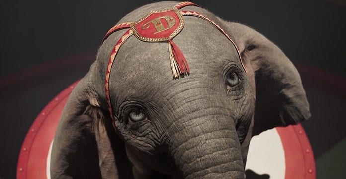 Dumbo film: trama, trailer, cast e uscita del live action di Tim Burton