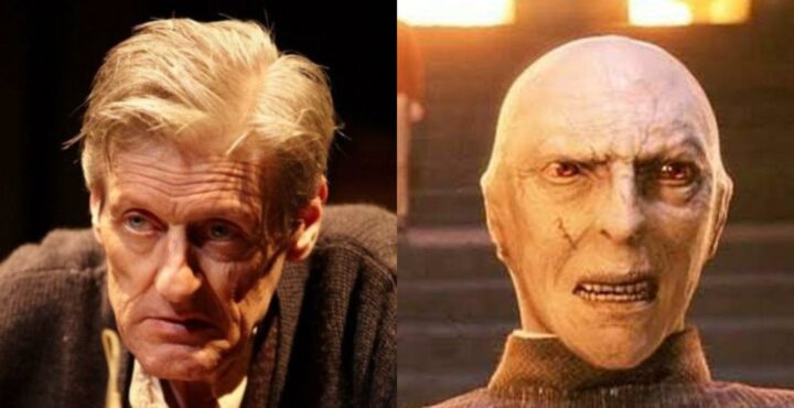 Gli attori che hanno interpretato Voldemort in Harry Potter