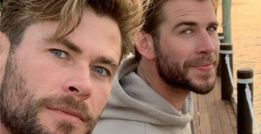 Liam e Chris Hemsworth reciteranno insieme in un nuovo film
