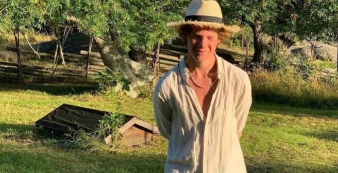 Chi è Edvin Ryding, Wilhelm in Young Royals: età e Instagram