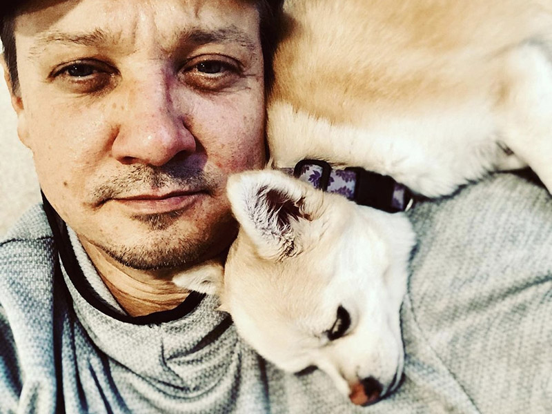 Jeremy Renner: età, Instagram, figlia, film e serie TV