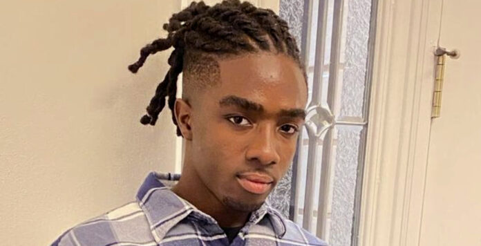 Chi è Caleb McLaughlin, Lucas in Stranger Things: età e fidanzata