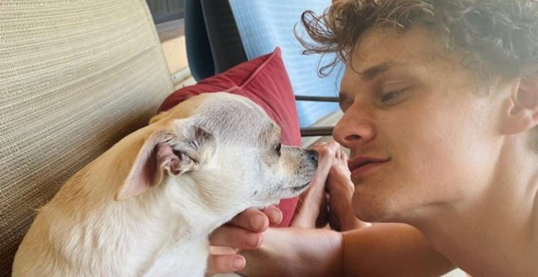 Chi è Ben Cook, Henry in Pretty Little Liars Original Sin: età e film