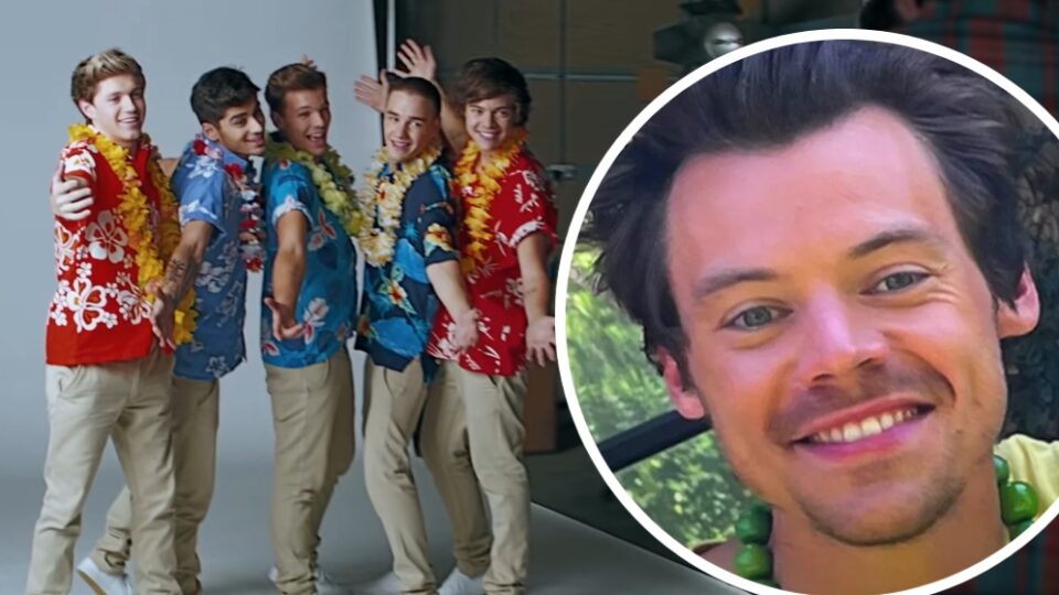 Harry Styles apre alla reunion dei One Direction
